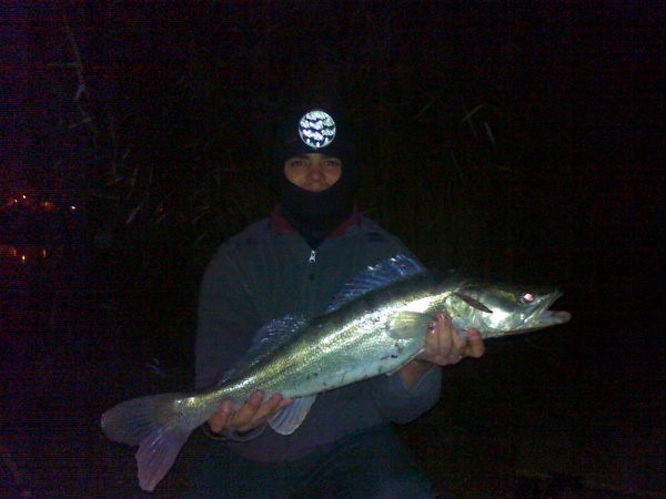 gola - Süllő - Haldorádó horgász áruház