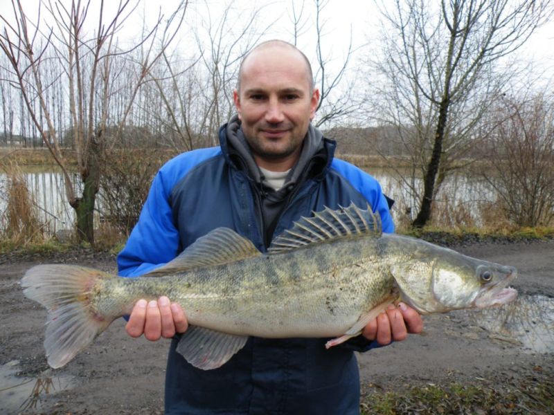 kawazoli - Süllő - Haldorádó horgász áruház