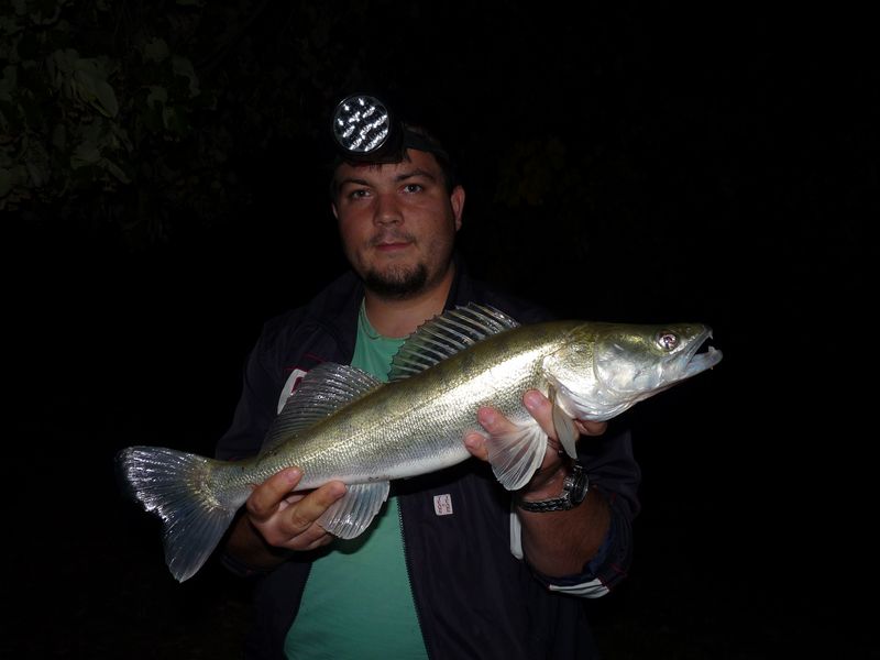 jesse-james - Süllő - Haldorádó horgász áruház