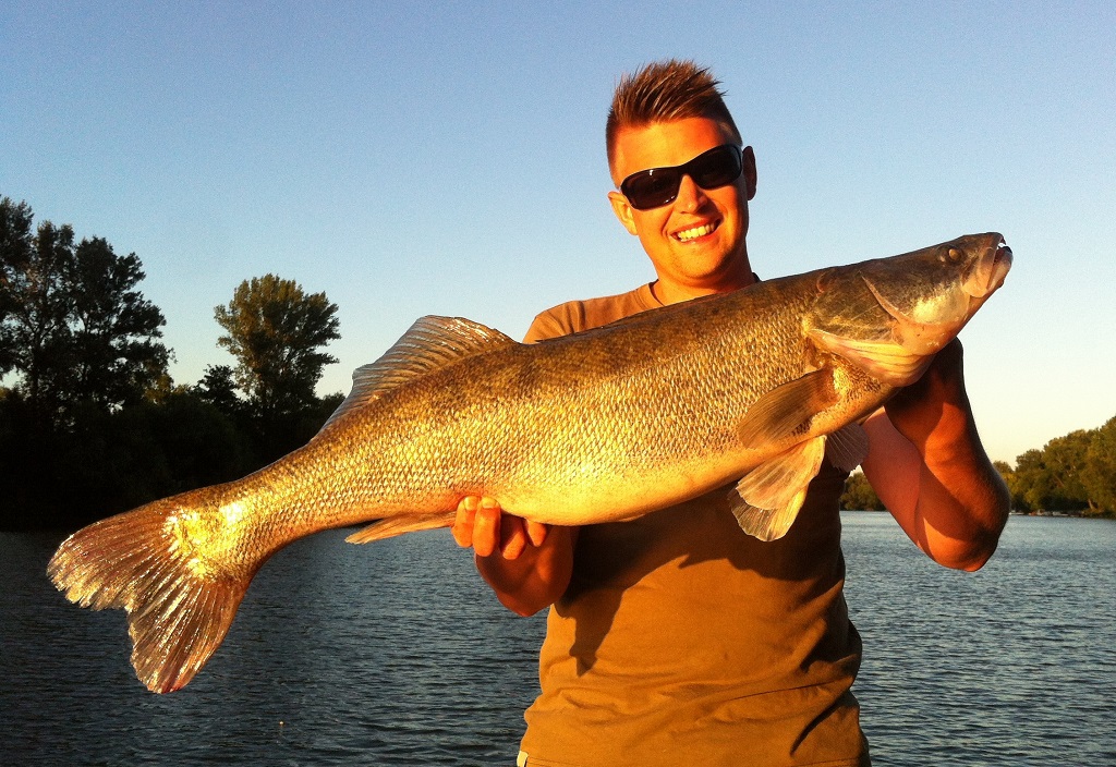 csobaji - Süllő - Haldorádó horgász áruház