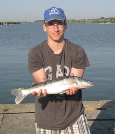 bencen - Süllő - Haldorádó horgász áruház