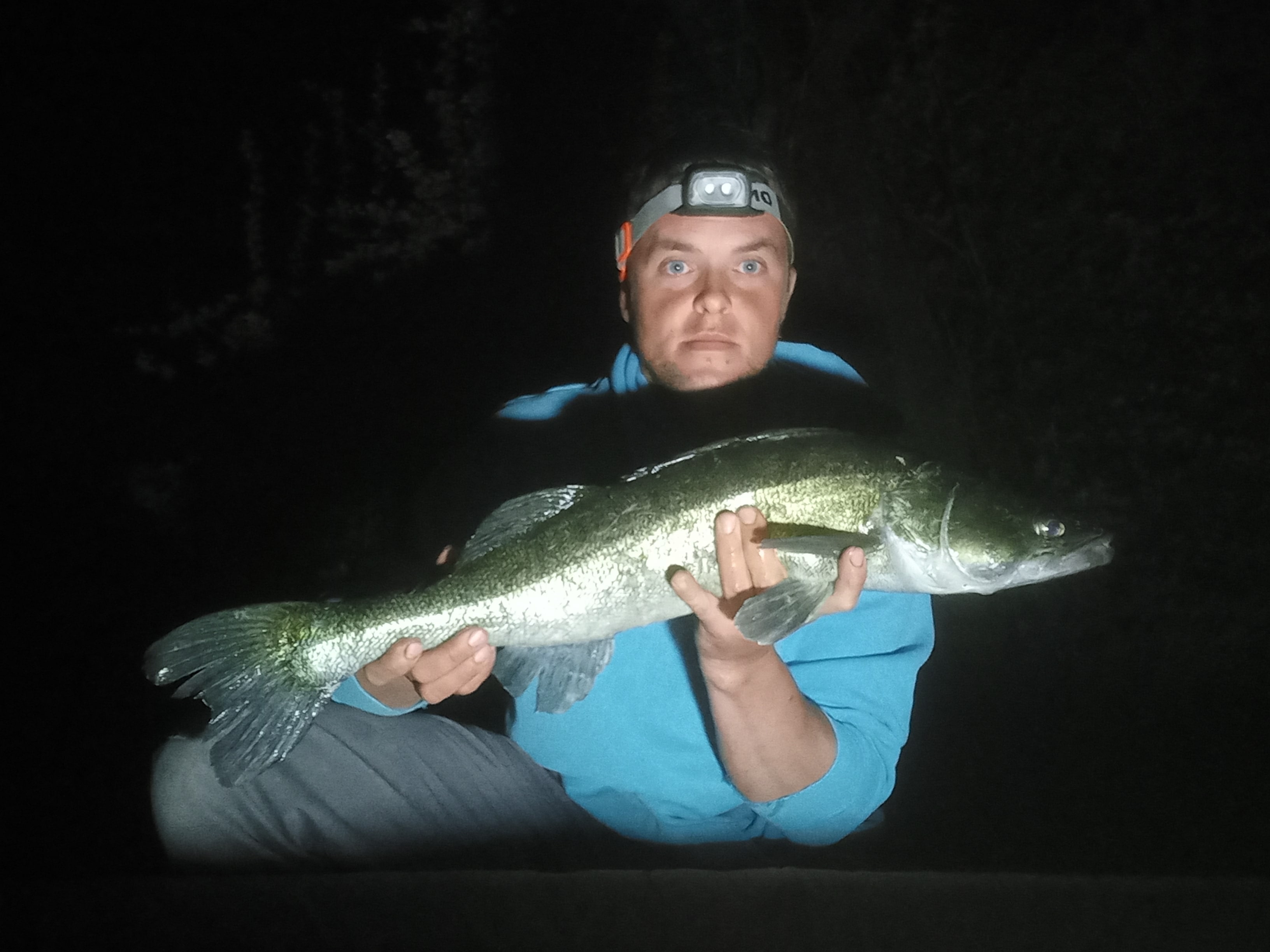 Pme26 - Süllő - Haldorádó horgász áruház